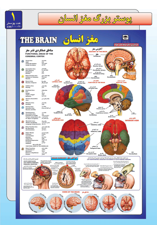 پوستر |کمک آموزشی |آناتومی | لوح فارسی |نگاره ها |نشانه ها |مندلیف |ابن ...